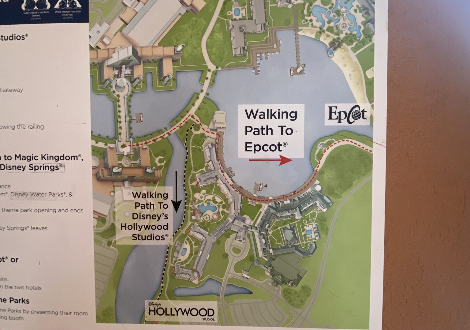 6 Ways To Go From the Swan Resort to Epcot (2024) - Resort Rat